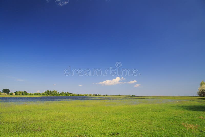 The River Emerged from Its Banks in the Spring Stock Photo - Image of ...