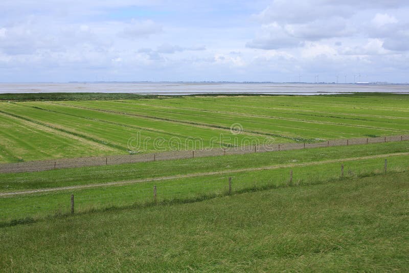 River Ems Delta in Lower Saxony, Germany Stock Photo - Image of delta ...