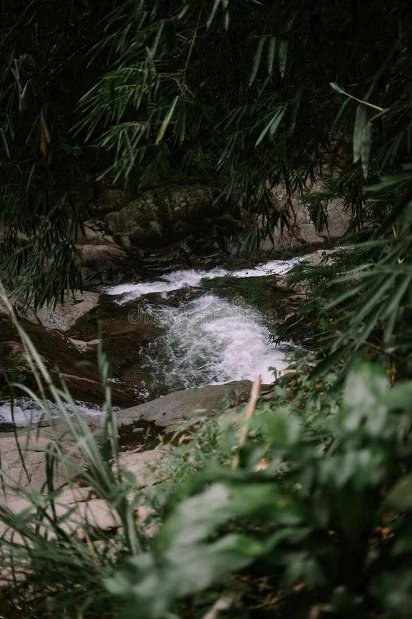 A River Estuary that is Not Deep with Clear Water Stock Photo - Image ...