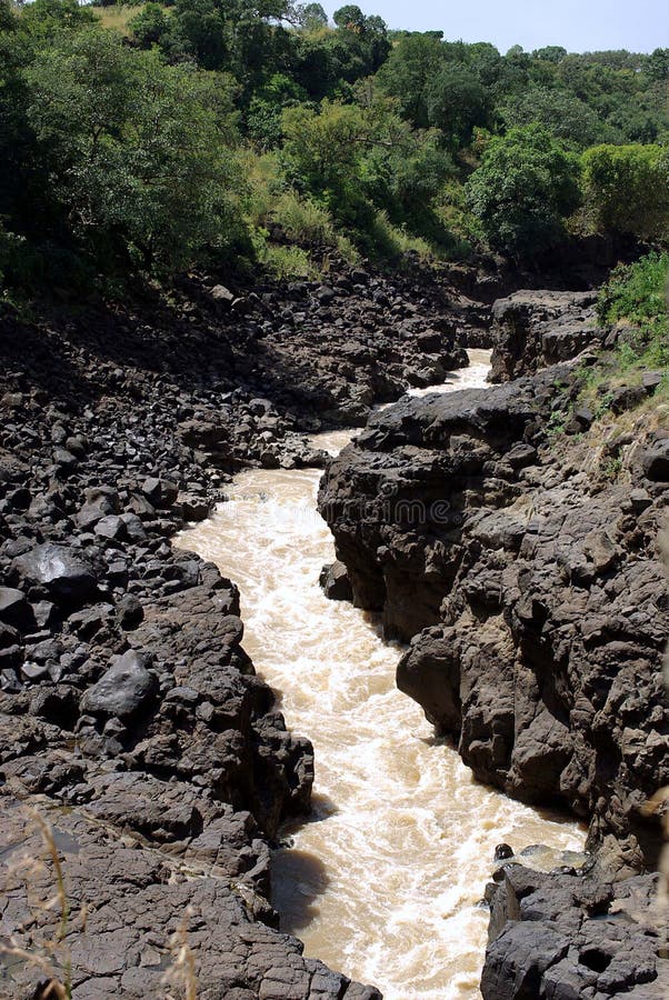 The Omo River in Ethiopia stock image. Image of vegetation - 93043727