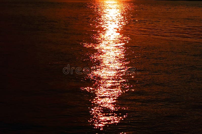 River in the Evening Shot-close-up Stock Image - Image of tree ...