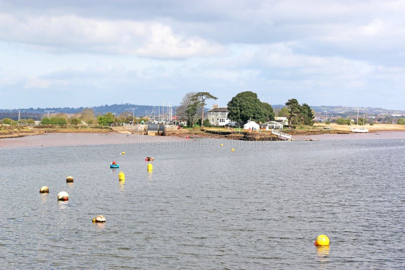 River Exe estuary in Devon stock photo. Image of grass - 207012988