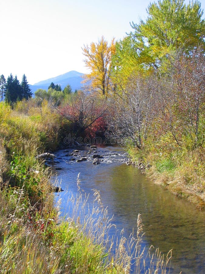 River in the Fall stock image. Image of trees, river, water - 200087