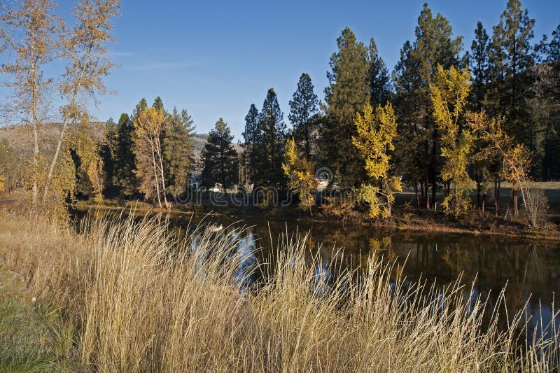 River in the fall stock image. Image of trees, autumn - 28114837