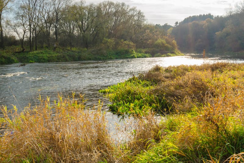 River in the Fall. Autumn Landscape in Belarus Stock Image - Image of ...