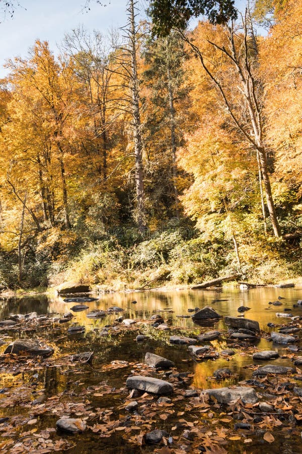 River with Fall Foliage and Trees in the Background Stock Image - Image ...