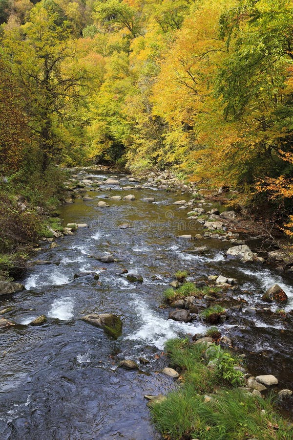 River in the Fall Mountains Stock Photo - Image of green, colorful ...
