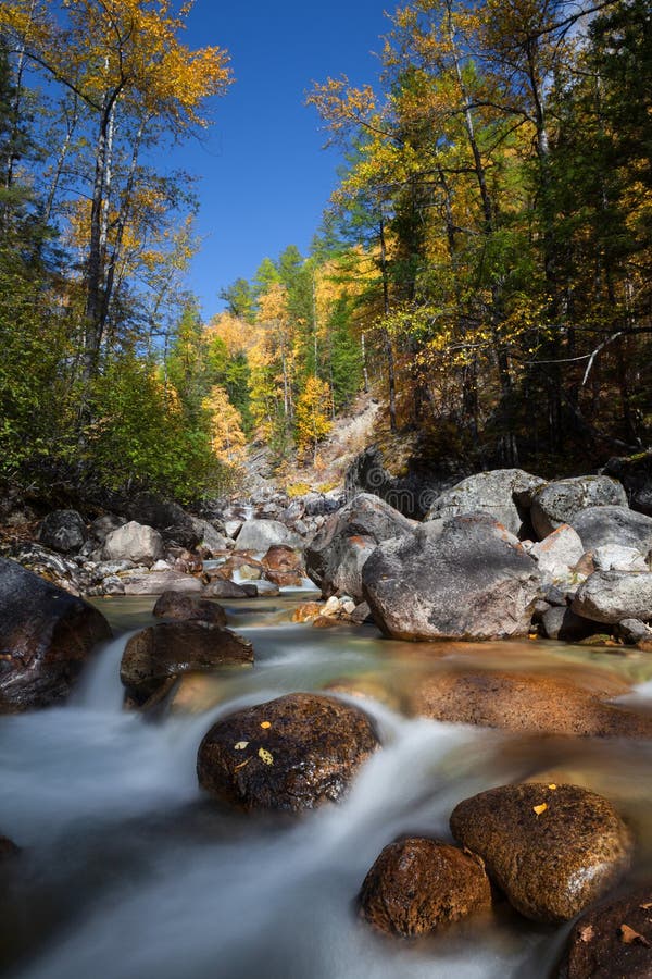 River among Fall Woods in Mountain Stock Photo - Image of national ...