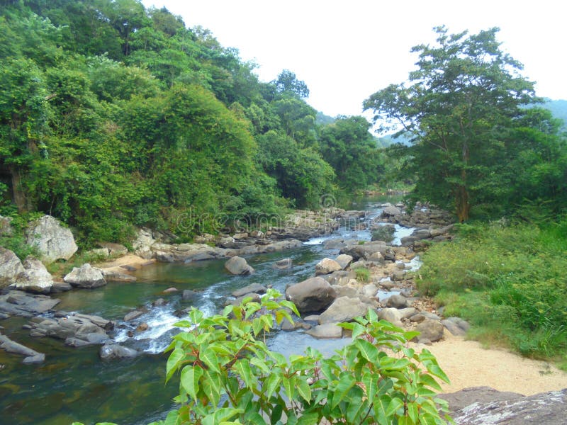 A River Falling Down Slowly Stock Photo - Image of green, river: 126237492