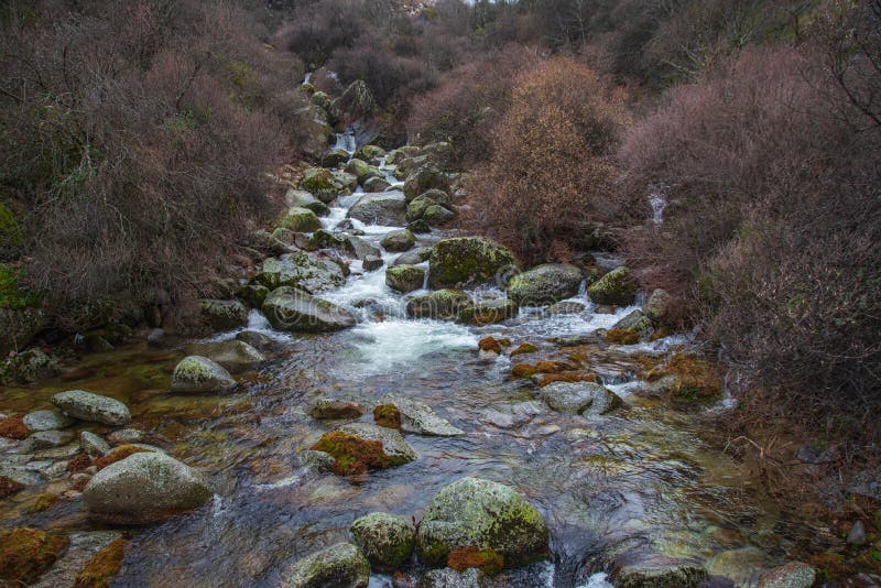 River Falling by the Stones Stock Photo - Image of moss, water: 172275404