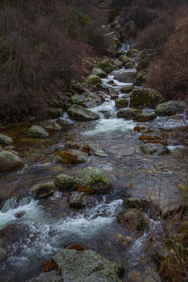 River Falling by the Stones Stock Photo - Image of rainforest ...