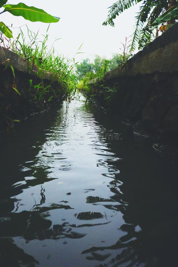 River stock image. Image of river, irrigation, water - 140340061