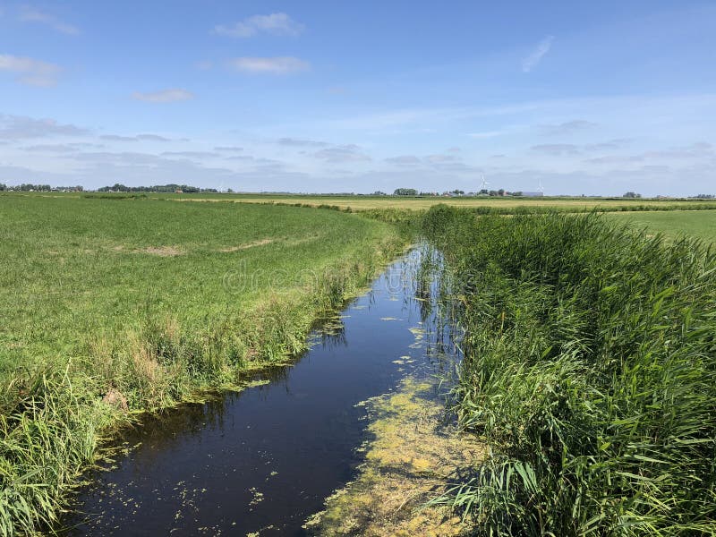 River through farmland stock photo. Image of landscape - 186297856