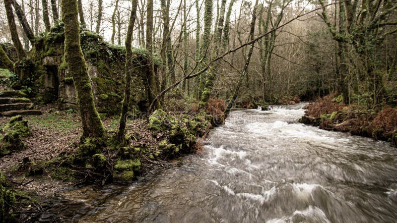 Fast water in a river stock image. Image of water, mountain - 255824983