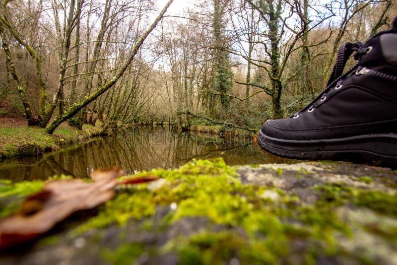 Fast water in a river stock image. Image of creek, flowing - 255825001