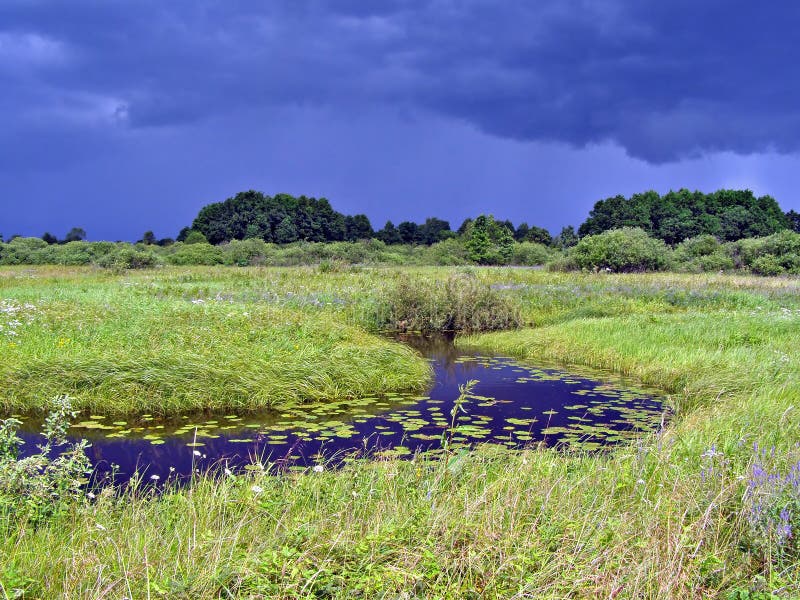 River on field stock image. Image of peaceful, foliage - 7003305