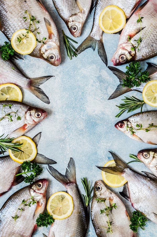 River Fish Background stock photo. Image of natural - 145244488