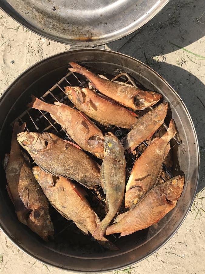 River Fish Cooked at the Stake. Hot Smoked Perch Lies in an Open ...