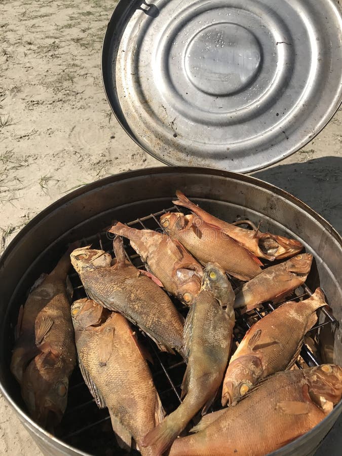 River Fish Cooked at the Stake. Hot Smoked Perch Lies in an Open ...