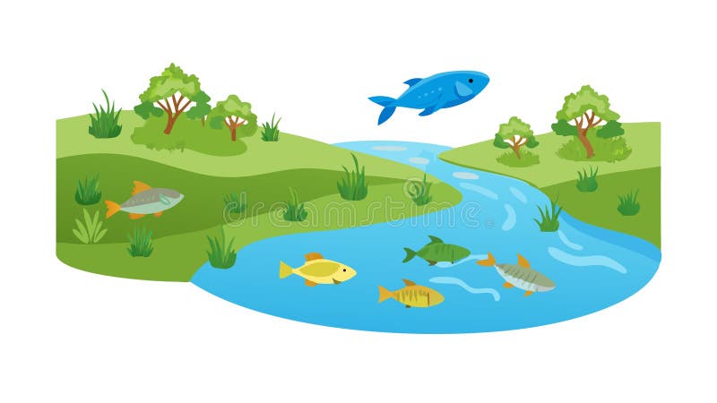 River with Fish and Plants Vector Illustration Ecosystem, Vector Design ...