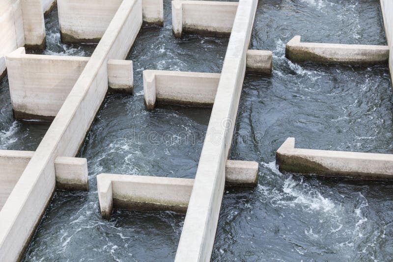 Fish Stairs Mosel River Koblenz Germany Stock Photos - Free & Royalty ...