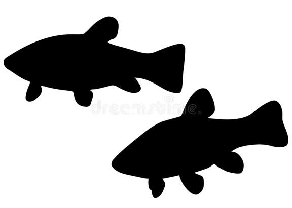 River Fish Tench in the Set. Stock Vector - Illustration of tench ...
