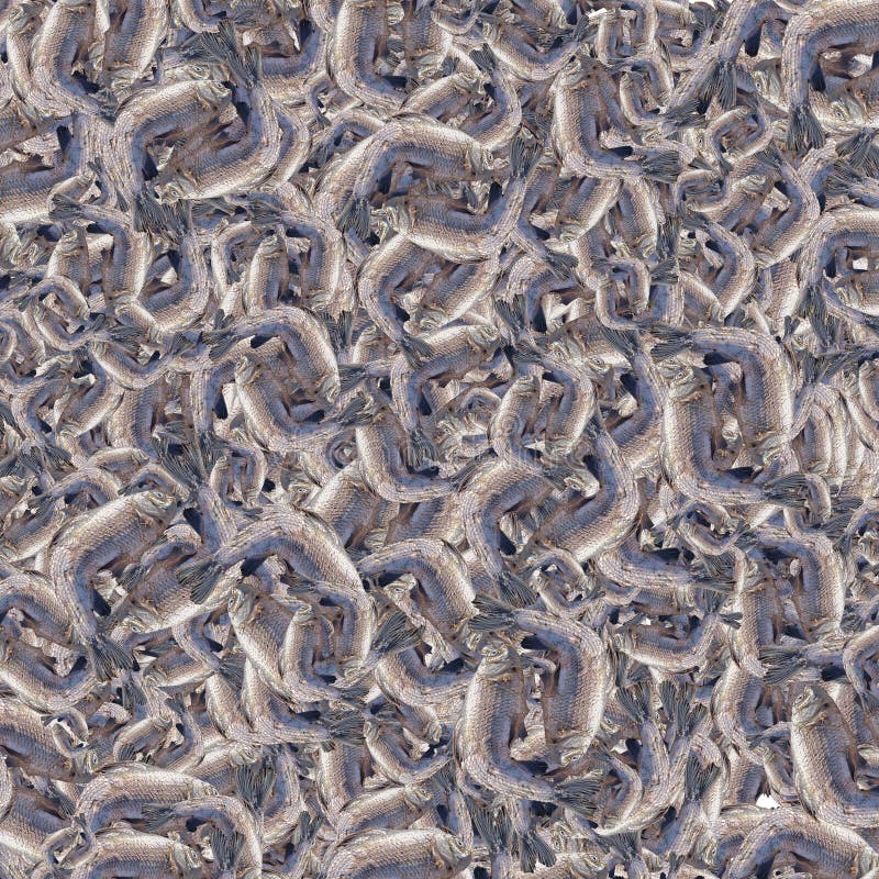 River Fishes Motif Random Pattern Stock Illustration - Illustration of ...