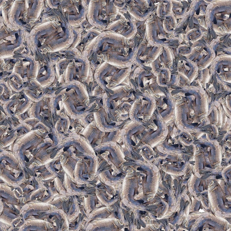 River Fishes Motif Random Pattern Stock Illustration - Illustration of ...