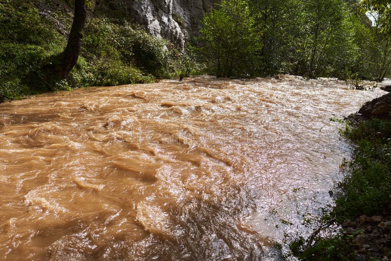 River flash flood stock image. Image of nature, hurricane - 259170945