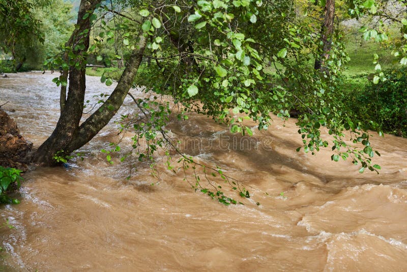 River flash flood stock photo. Image of fast, environment - 259170930