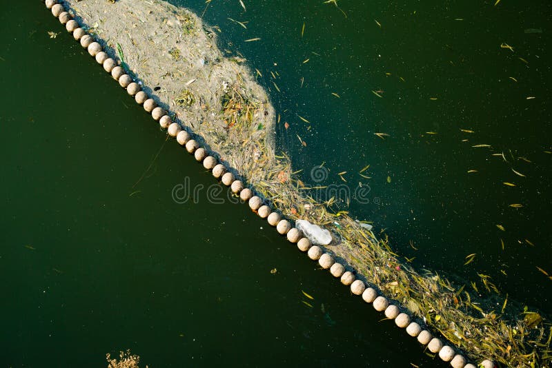 The river floating stock photo. Image of environment - 106618006