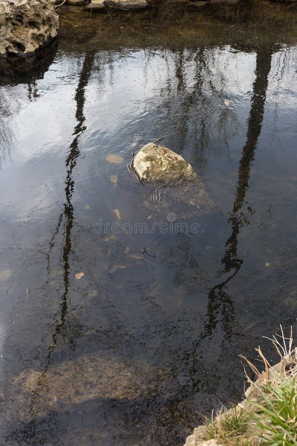 River Floating Surface View with Mirroring Objects and Tiny Wave Stock ...