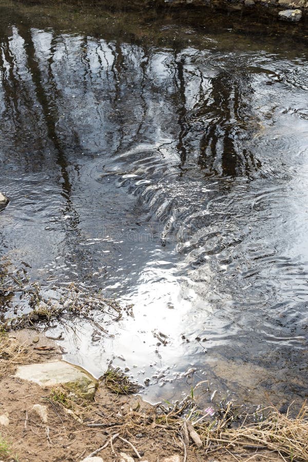 River Floating Surface View with Mirroring Objects and Tiny Wave Stock ...