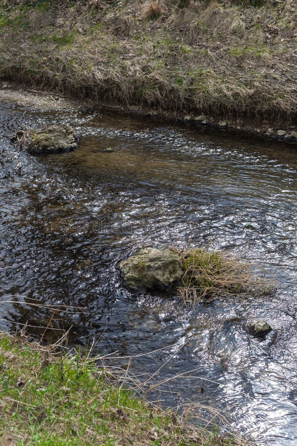 River Floating Surface View with Mirroring Objects and Tiny Wave Stock ...