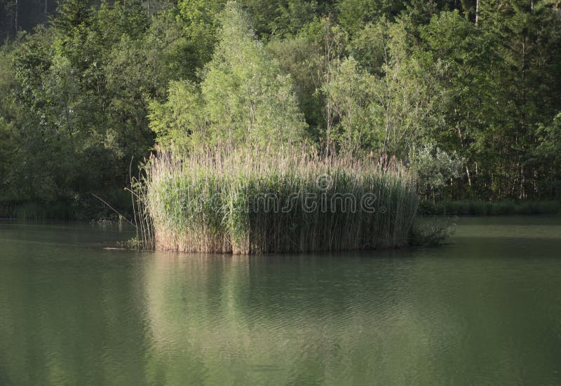 A River with Floating Water Stock Image - Image of landform, country ...