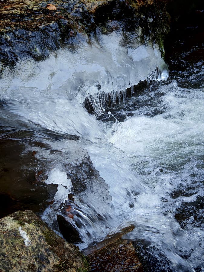 A River with Floating Water Stock Image - Image of lifeline, gold ...