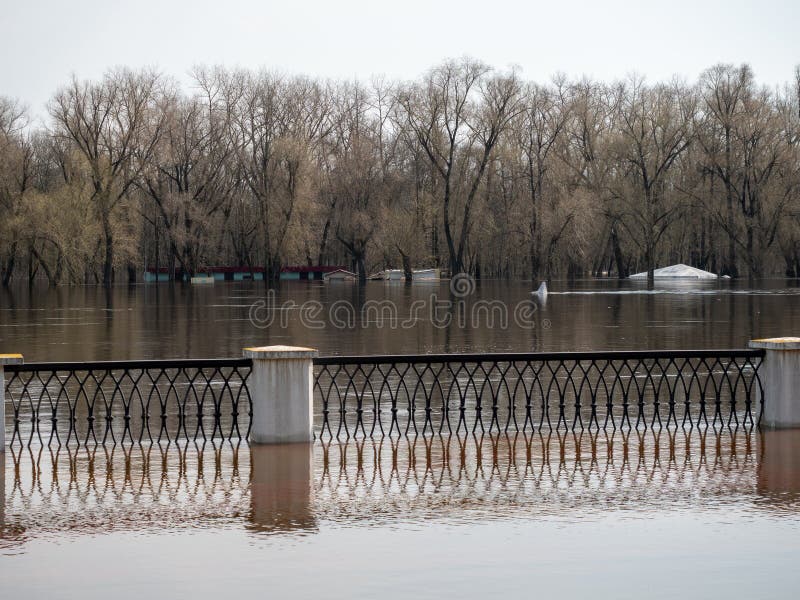 River flood in city park stock image. Image of rain - 362658019