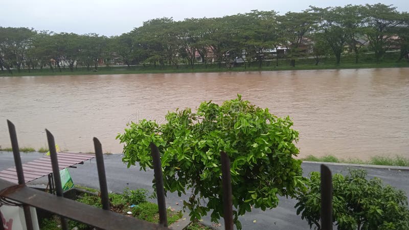 River Flood Overflow Overflow Water Amazons Stock Image - Image of ...