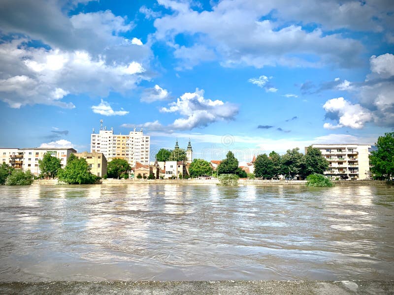 Timis River almost Flooded Us Stock Photo - Image of river, timis ...
