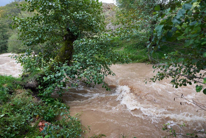 River flash flood stock photo. Image of flow, hurricane - 259170884