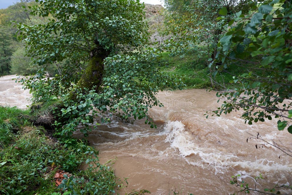 River flash flood stock photo. Image of flow, hurricane - 259170884