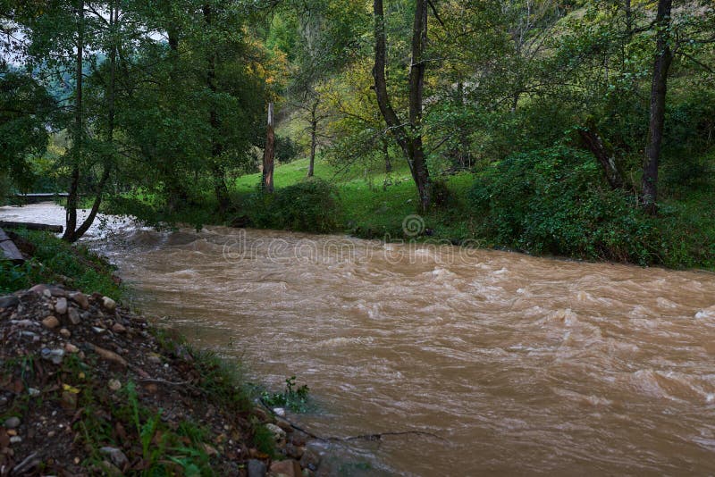 River flash flood stock photo. Image of climate, disaster - 259170920