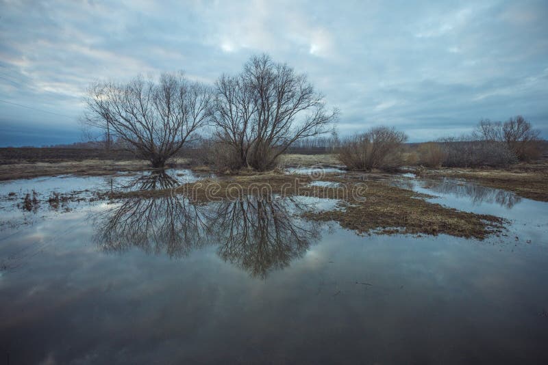 River Flooding in Spring in April Stock Photo - Image of season, shore ...