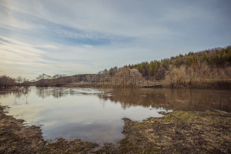 River Flooding in Spring in April Stock Photo - Image of evening ...