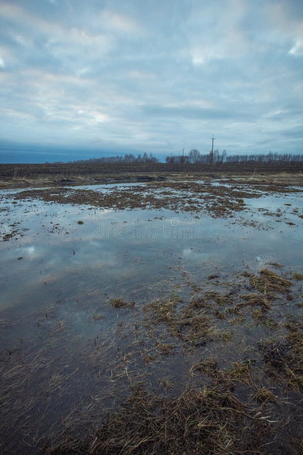 River Flooding in Spring in April Stock Image - Image of spring ...