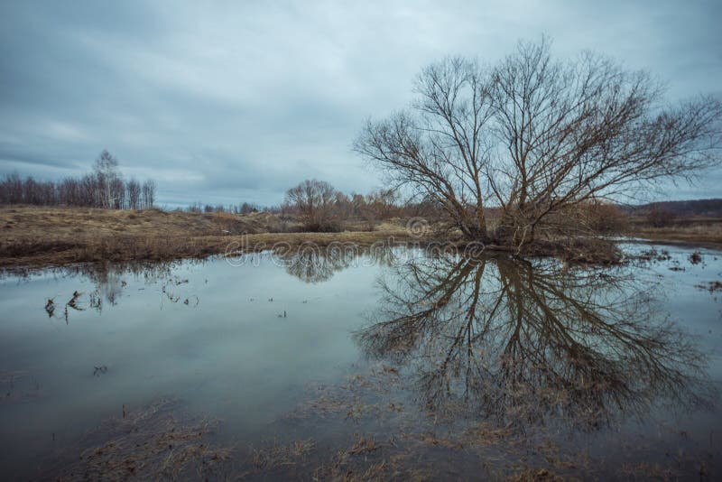 River Flooding in Spring in April Stock Photo - Image of landscape ...