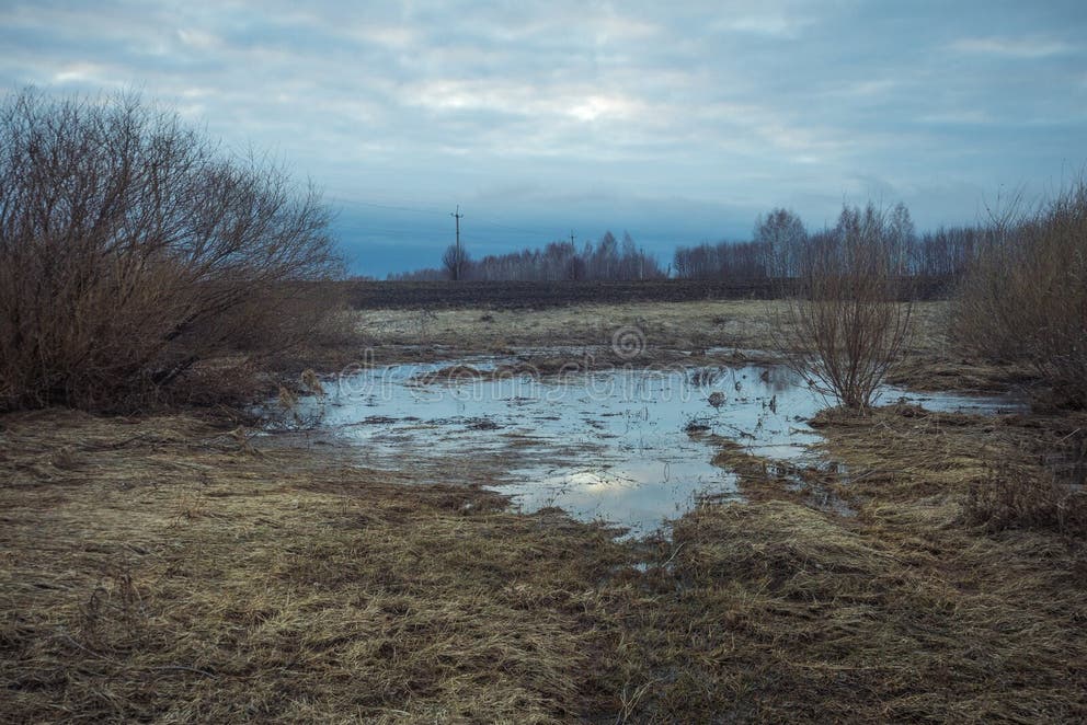 River Flooding in Spring in April Stock Photo - Image of season, water ...