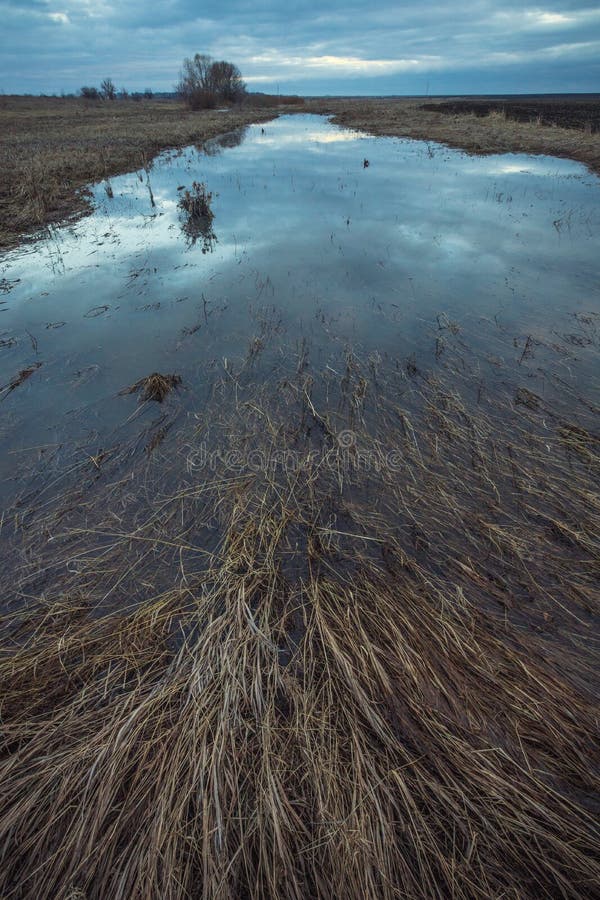 River Flooding in Spring in April Stock Photo - Image of spring, plant ...
