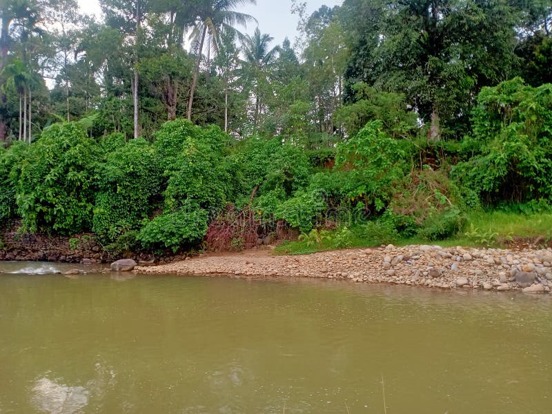 The River Flow is Calm and the Water is Very Clean Suitable for Bathing ...