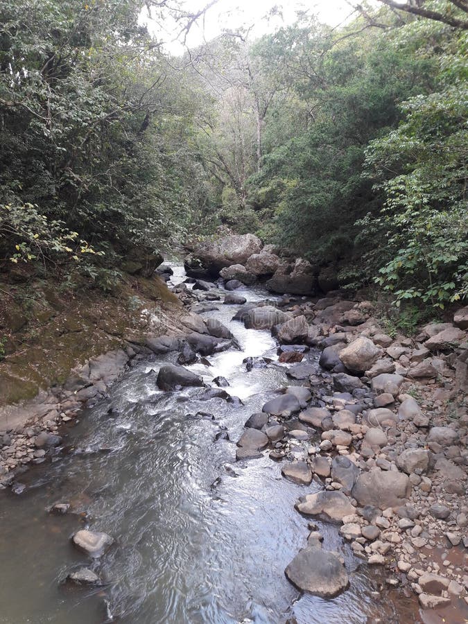 River Flow stock photo. Image of nature, tropical, costa - 89847238